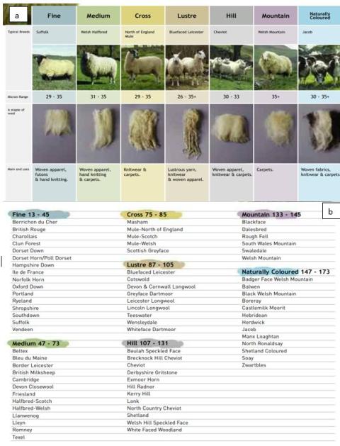Future Opportunities for Sheep Genetics in Wales: Breeding for Improved Wool Quality | Farming ...